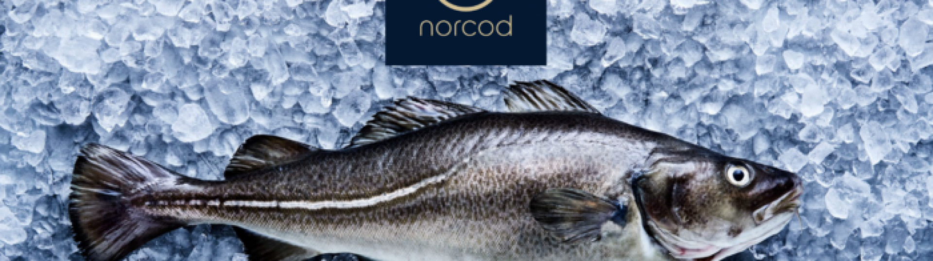 Norcod | ArthaScope
